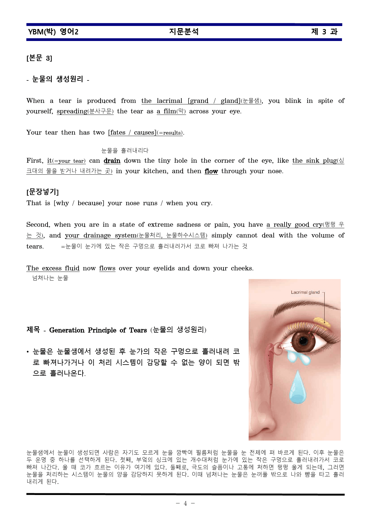 쏠북 | 내신자료 플랫폼 1위